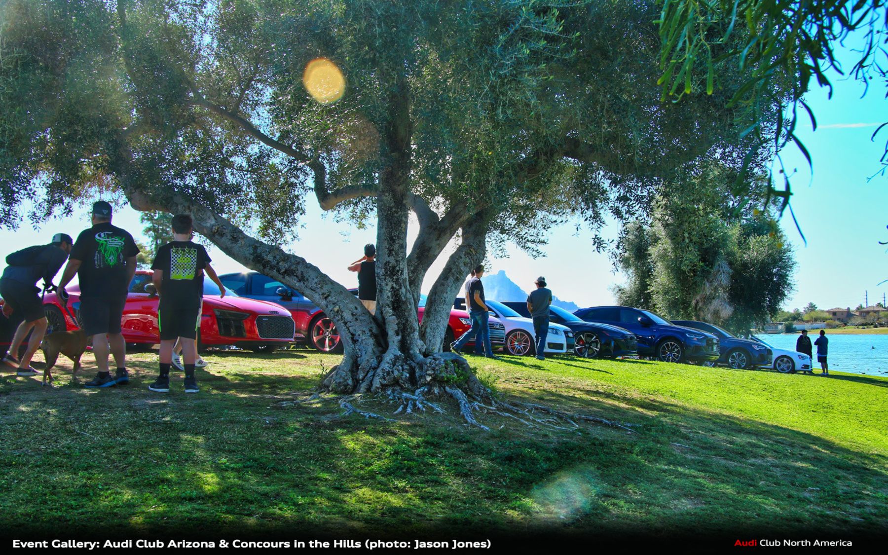 Audi Club Arizona - Concours in the Hills - Audi Club North America